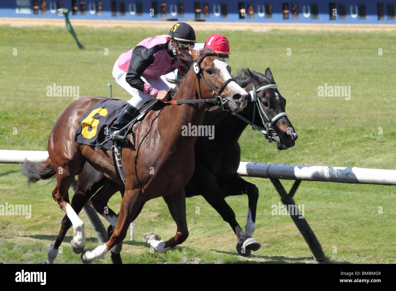 Two race horses going head to head in the last stretch toward the ...