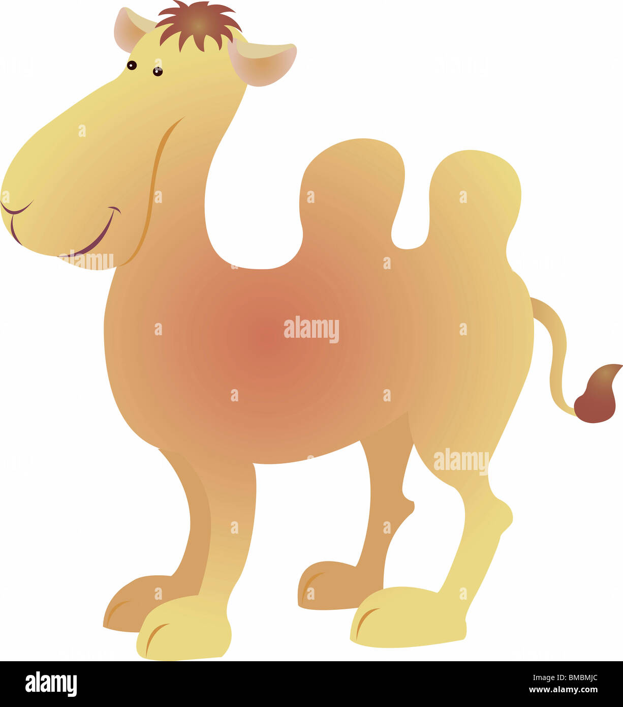 Photography animal Cut Out Stock Images & Pictures - Alamy