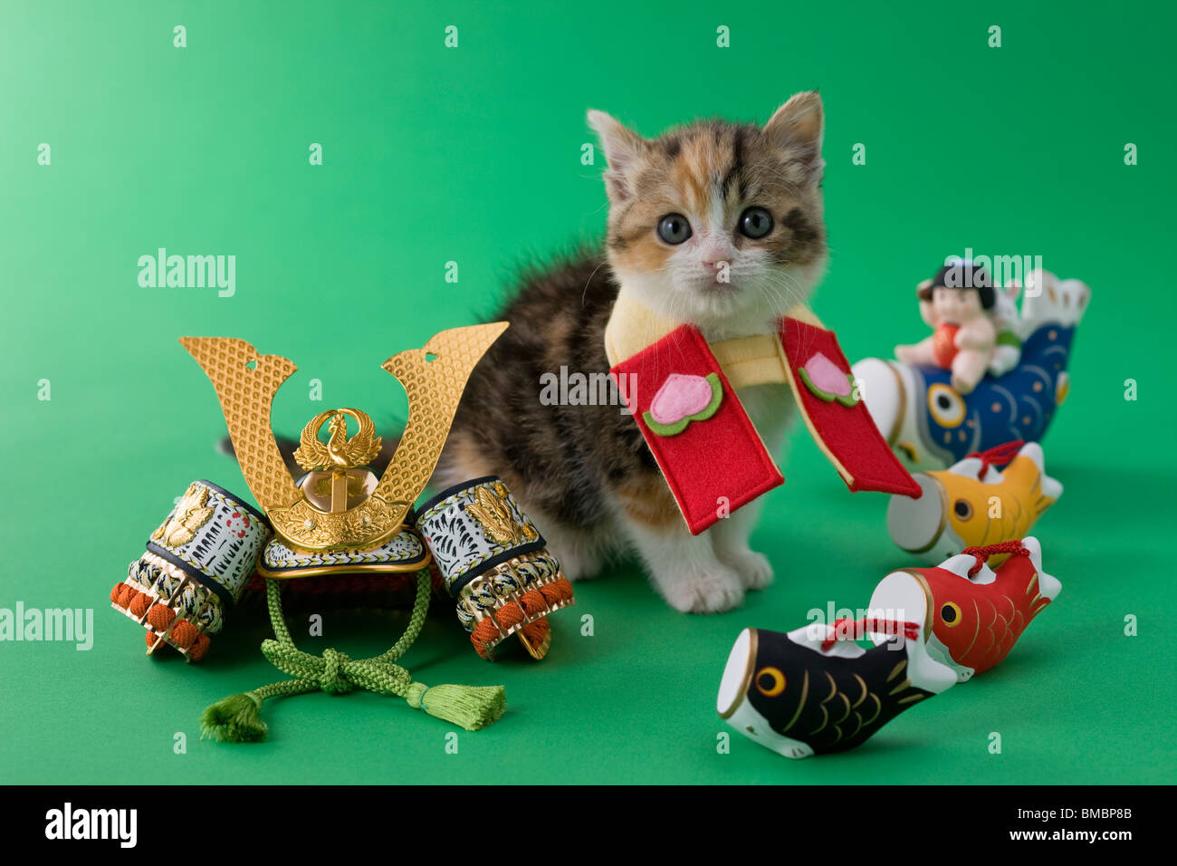 Scottish day hi-res stock photography and images - Alamy