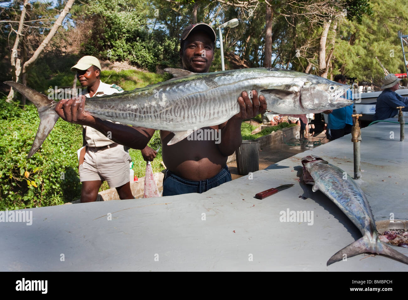 The king of fish hi-res stock photography and images - Alamy
