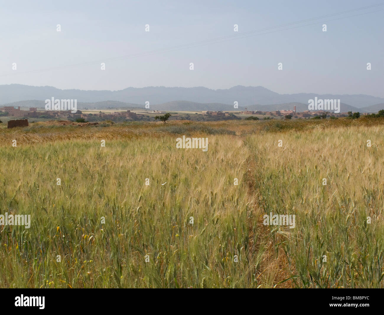 Morocco farming hi-res stock photography and images - Alamy