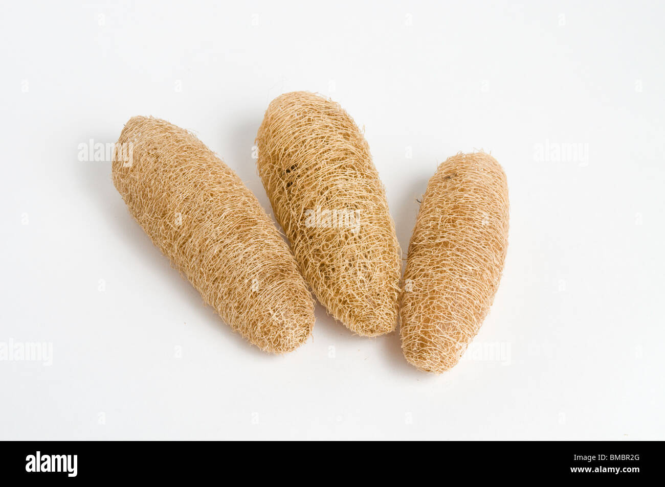 Luffa High Resolution Stock Photography and Images - Alamy