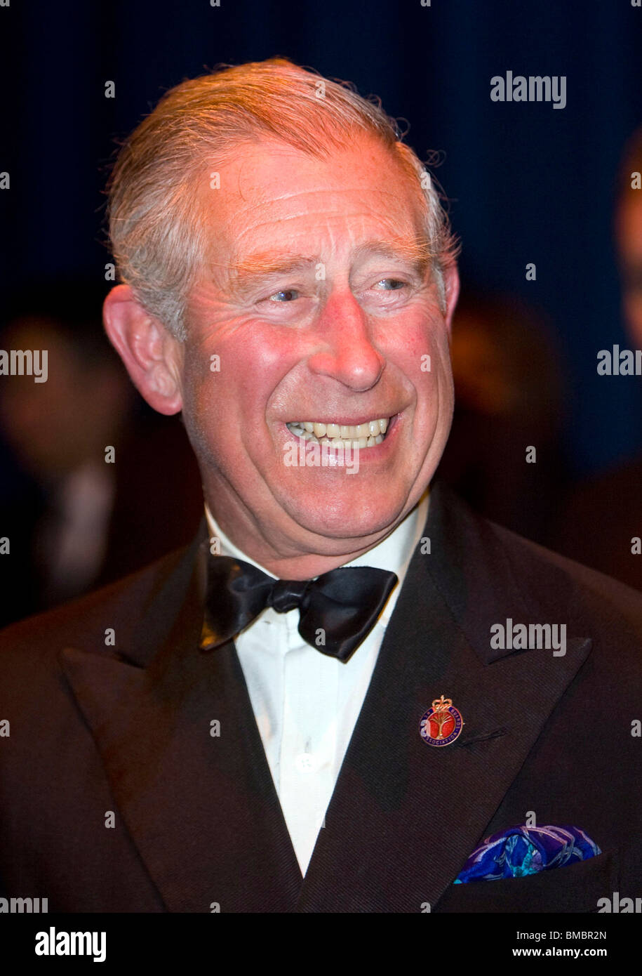 Portrait of Britain's Prince Charles the Prince of Wales at an official ...