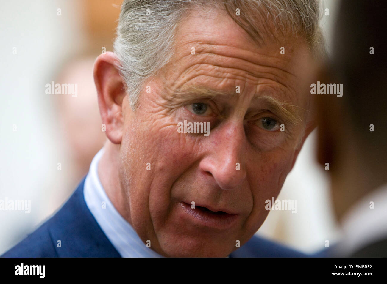 Portrait of Britain's Prince Charles the Prince of Wales at an official ...