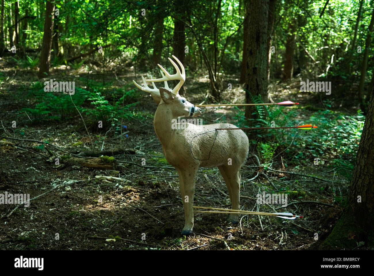 Target targets hi-res stock photography and images - Alamy