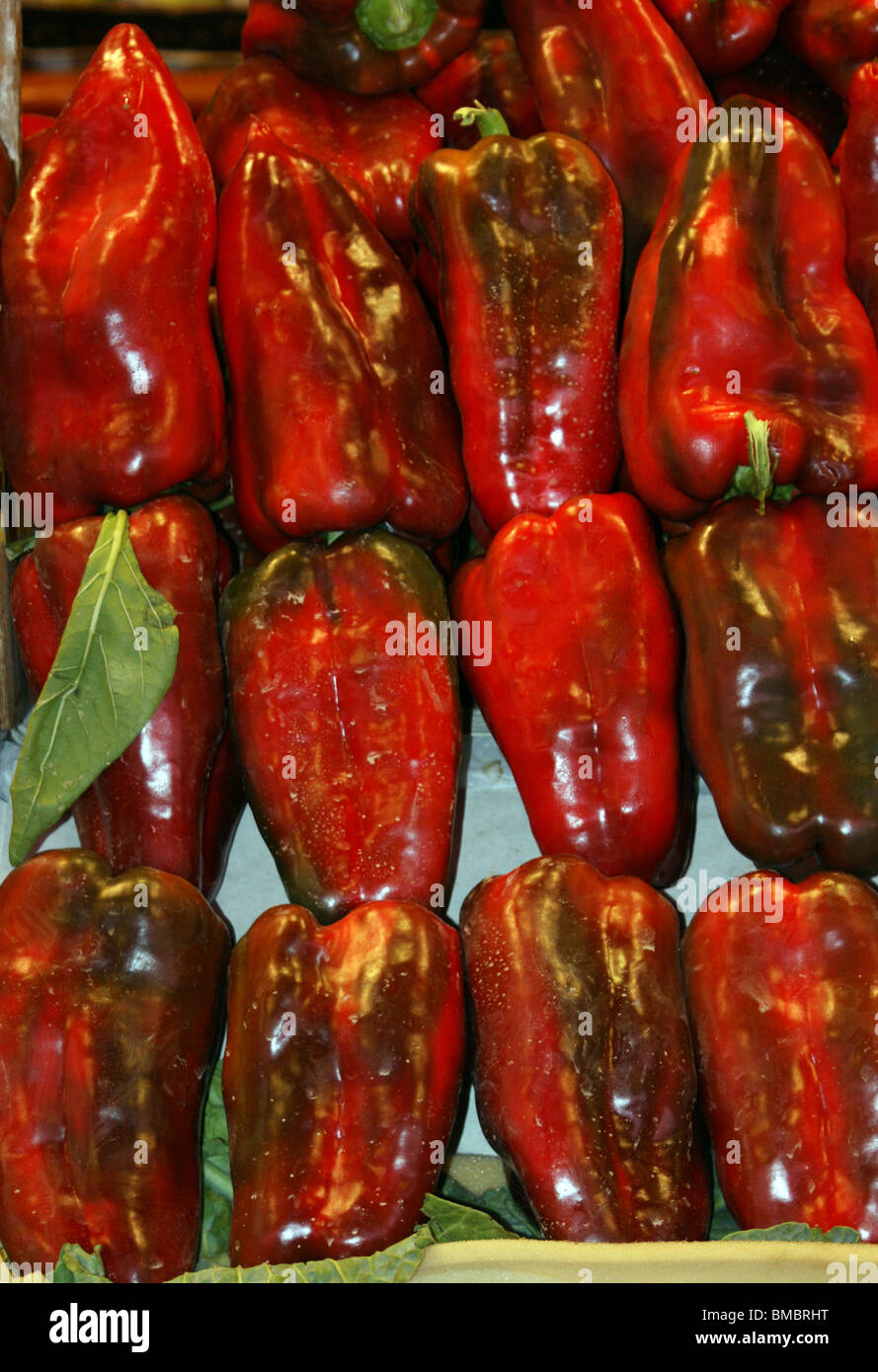 FRESH Red Peppers displayed on a market stall IN LA BOQUERIA BARCELONA ...
