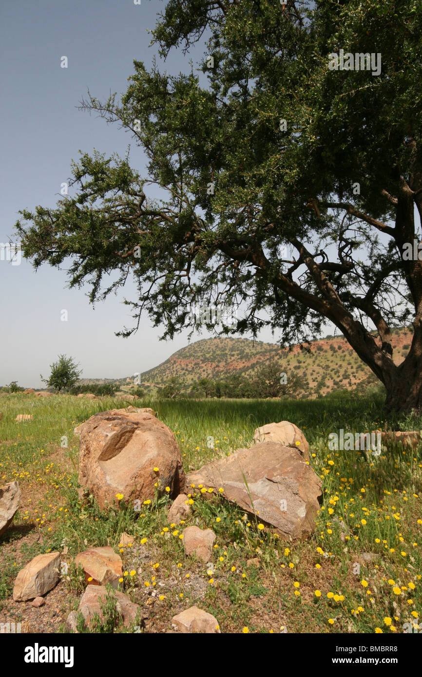 Moroccan countryside in spring Stock Photo - Alamy