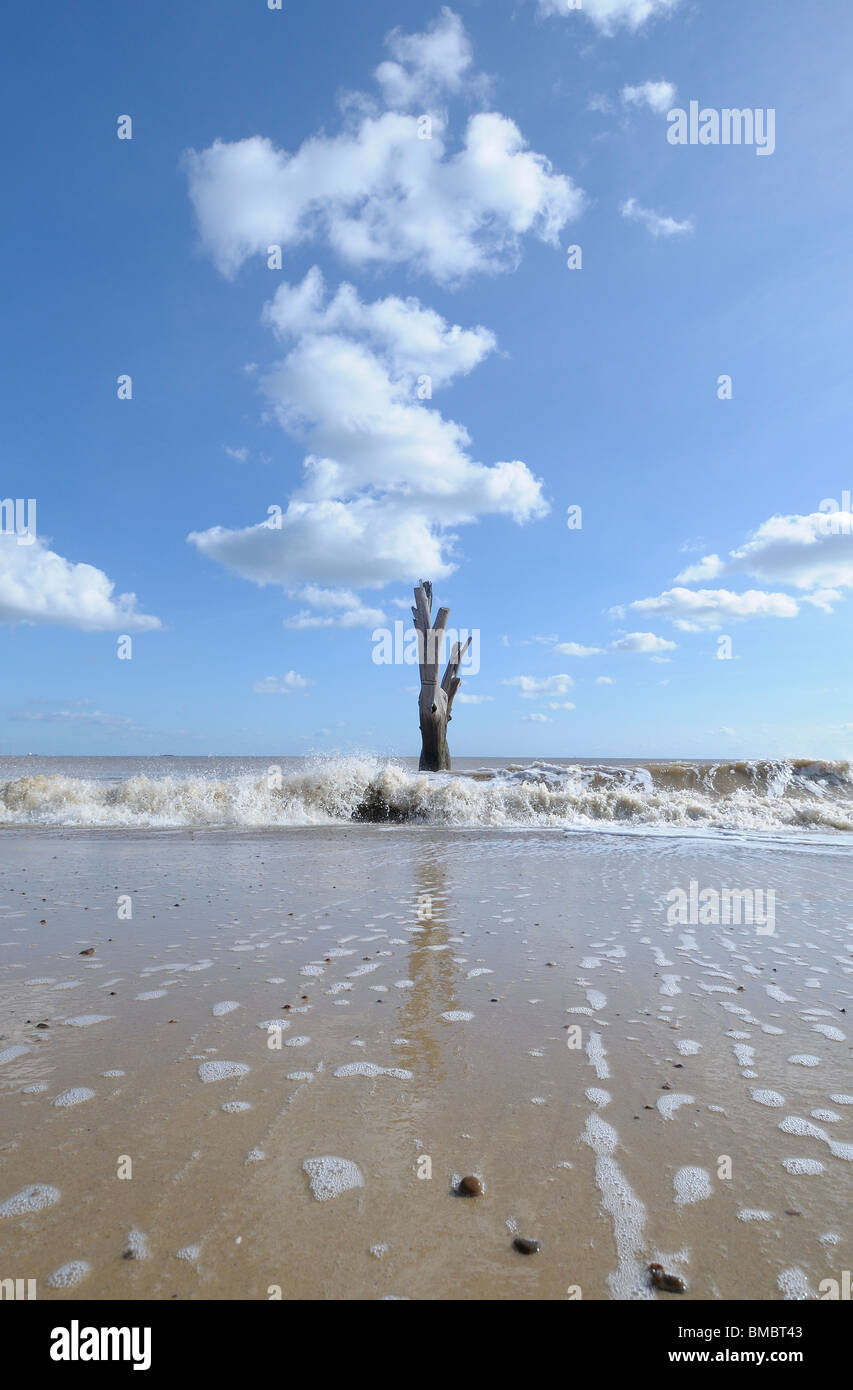 Lone tree in waves Stock Photo - Alamy