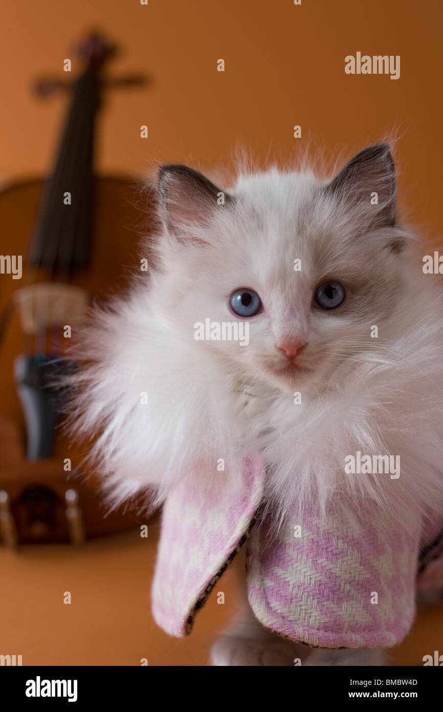 Rag art hi-res stock photography and images - Alamy