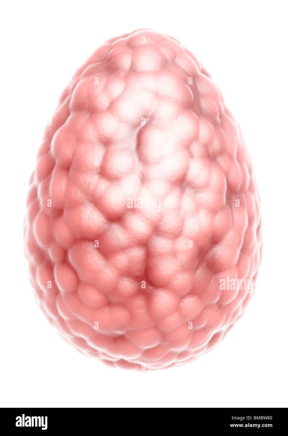 Alien egg hi-res stock photography and images - Alamy