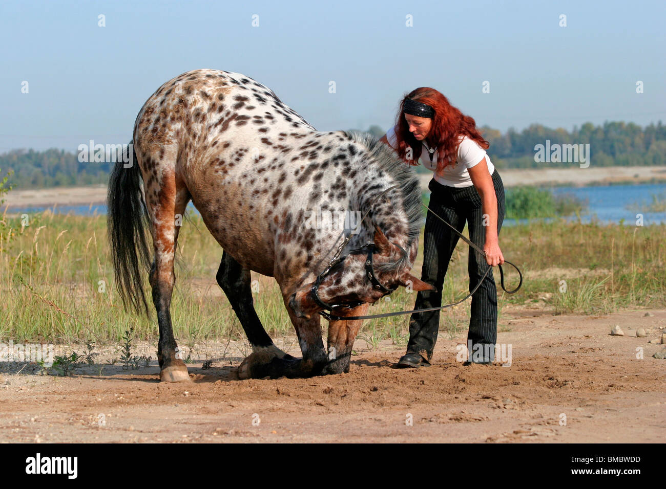 Sich legen hi-res stock photography and images - Alamy