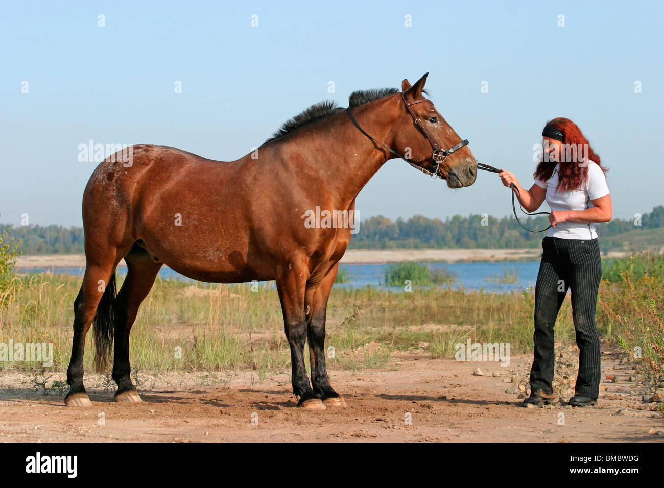 Frau mit Pferd / woman with horse Stock Photo - Alamy
