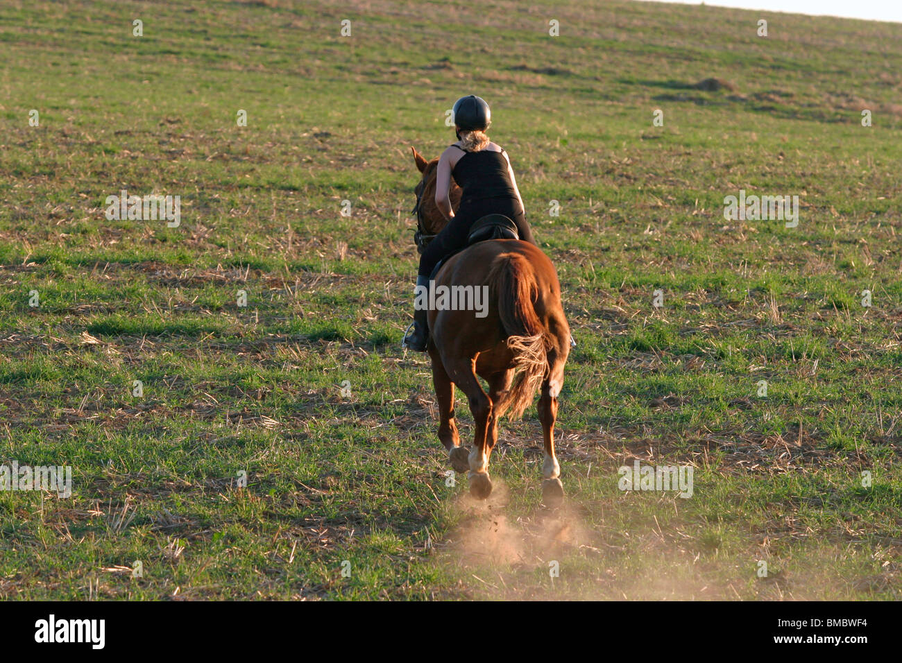 Reiterin feld hi-res stock photography and images - Alamy