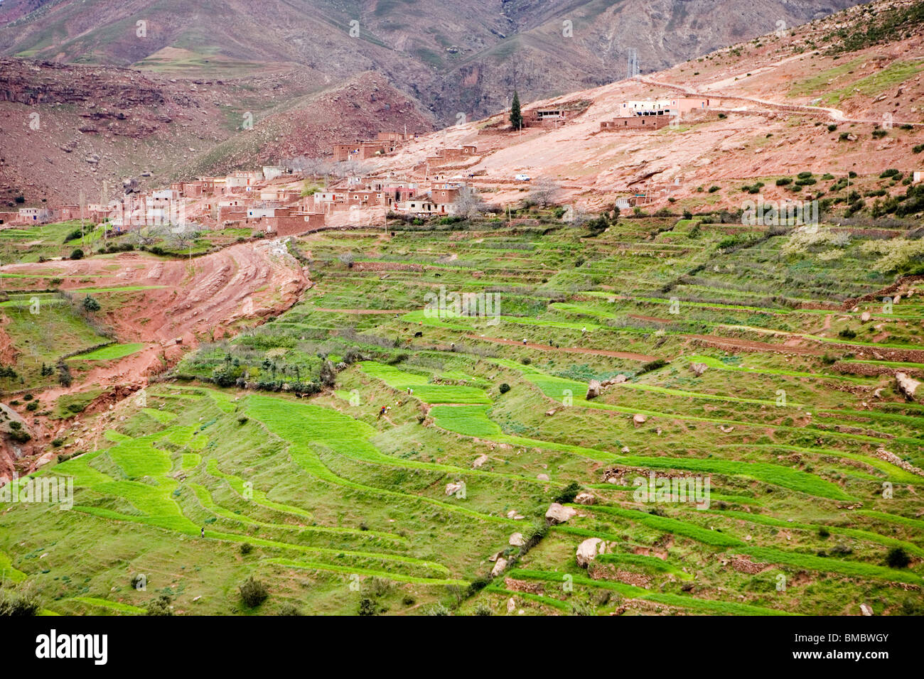Berber village and tiered fields, High Atlas mountains , Morocco ...
