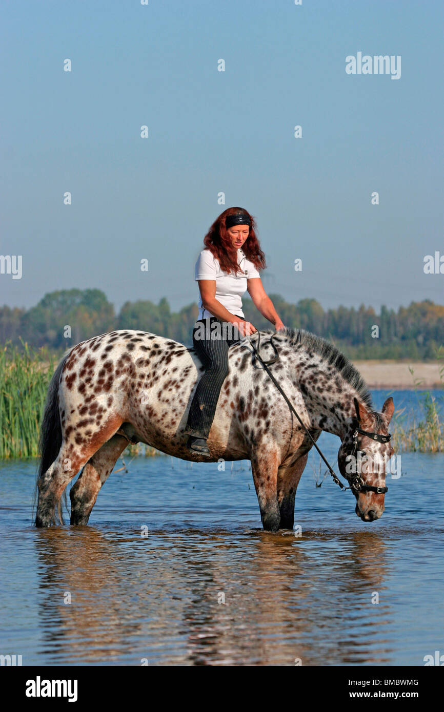 Reiterin im Wasser / horsewoman in the water Stock Photo - Alamy