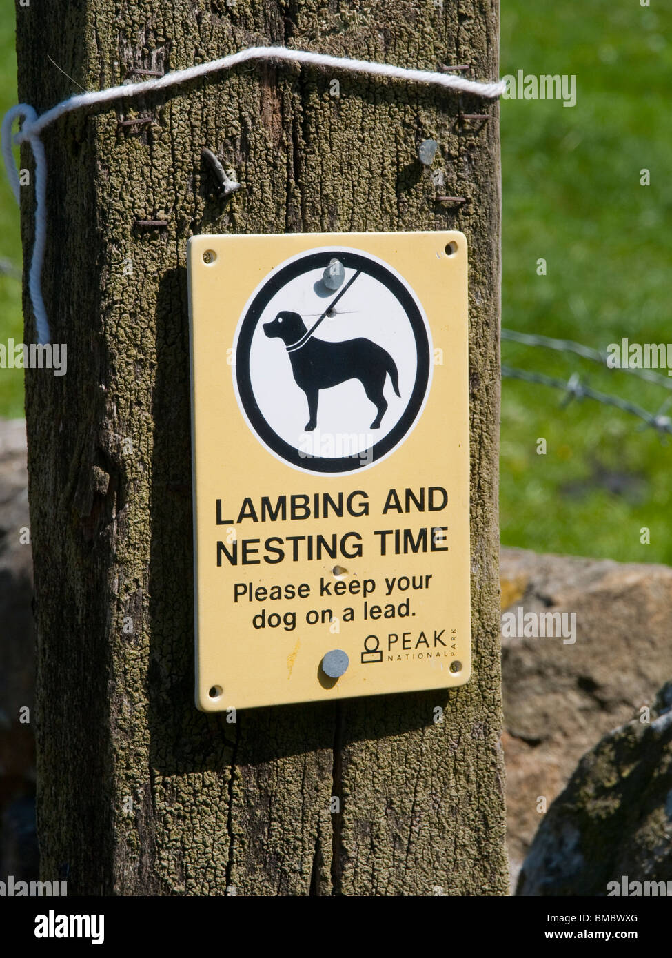 A warning sign to dog owners about lambing and nesting in the Peak ...