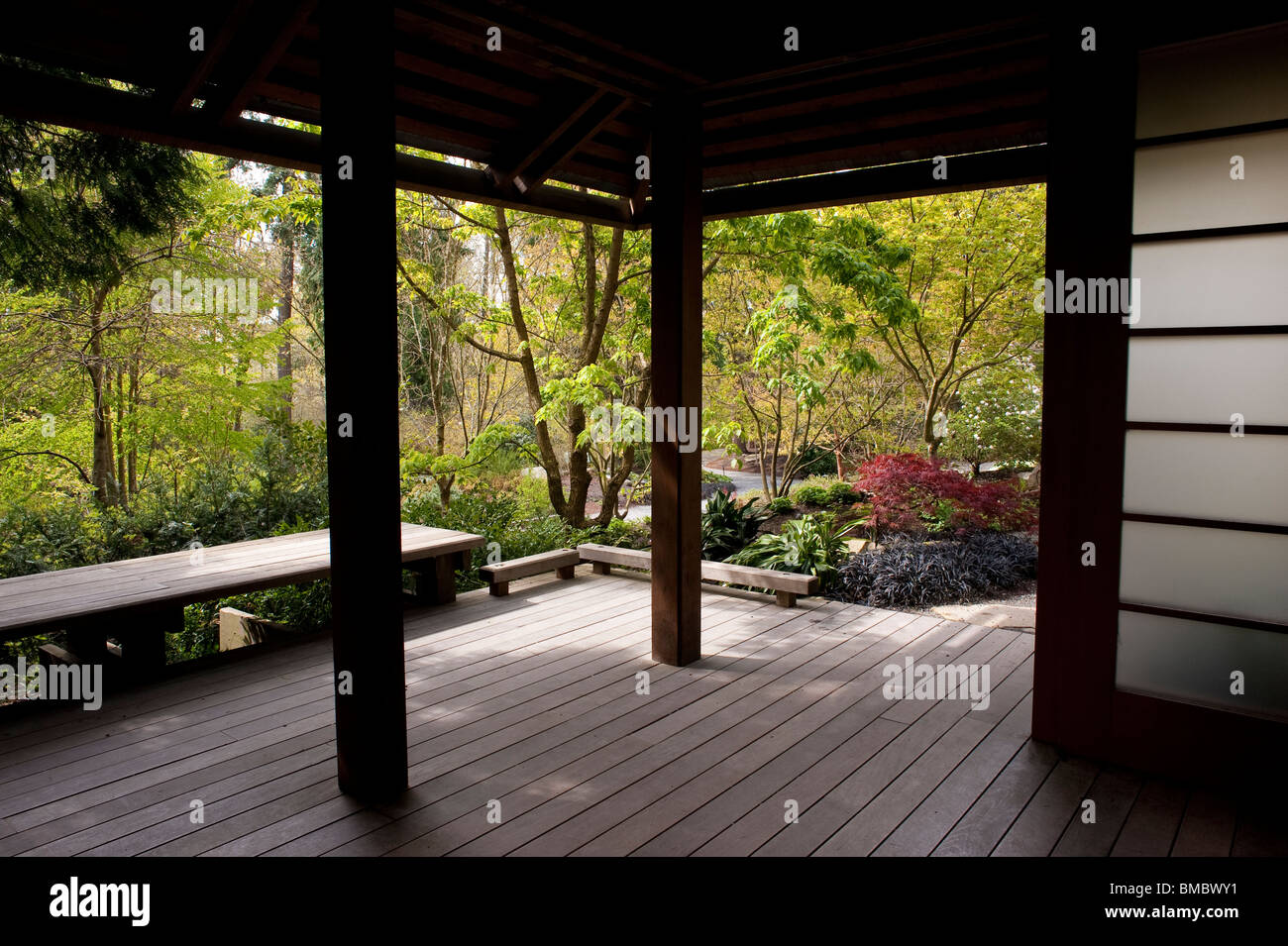 Bellevue Botanical Garden viewing pavillion Ground Cover Garden and ...