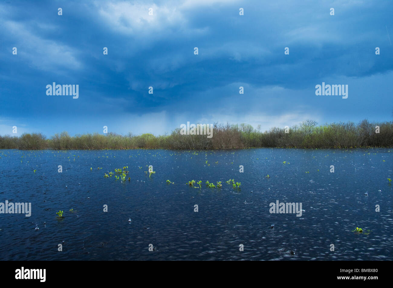 Rain funnel cloud hi-res stock photography and images - Alamy