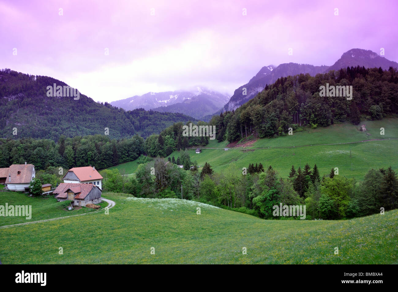 Switzerland swiss schweiz alps hill hills mountain mountains grass hi ...