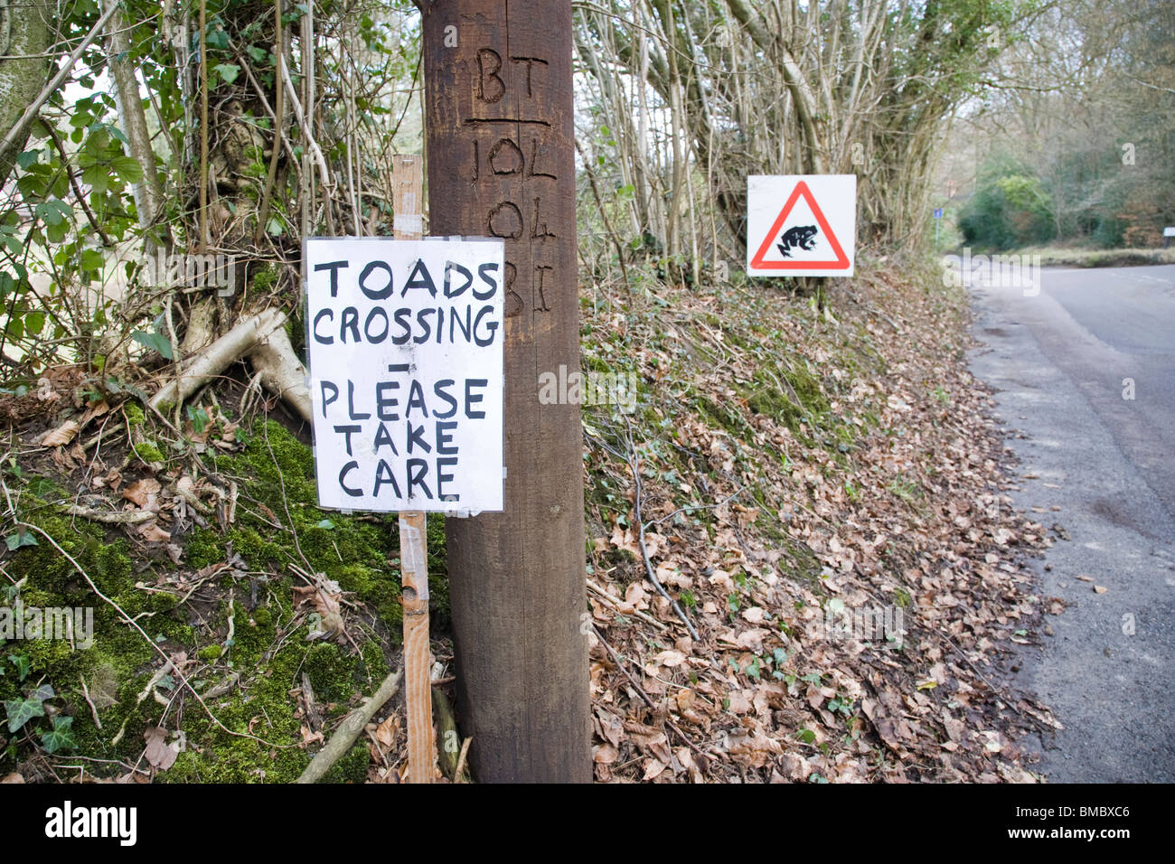 Toads crossing sign hi-res stock photography and images - Alamy