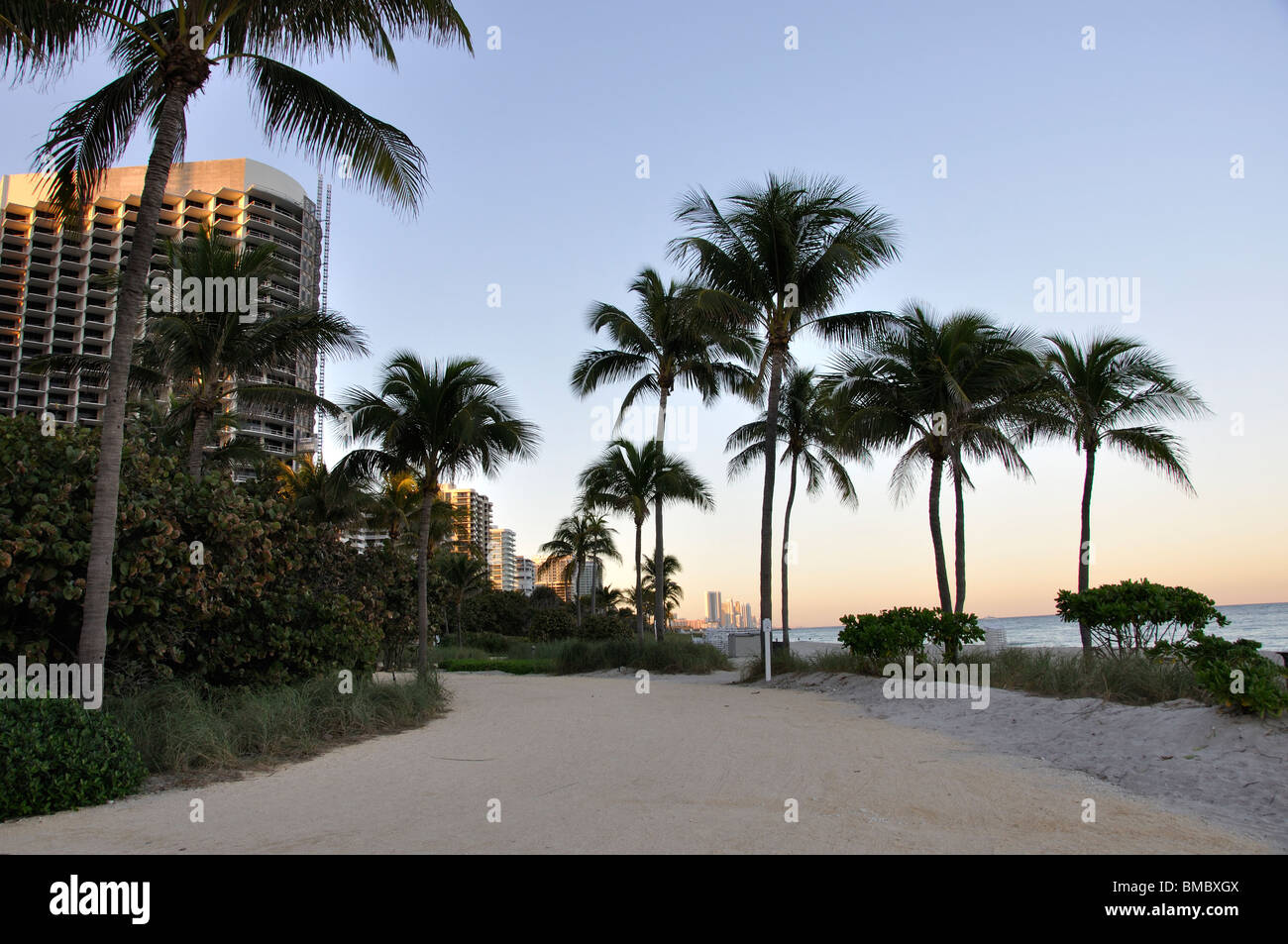 Miami buildings palms sunset hi-res stock photography and images - Alamy