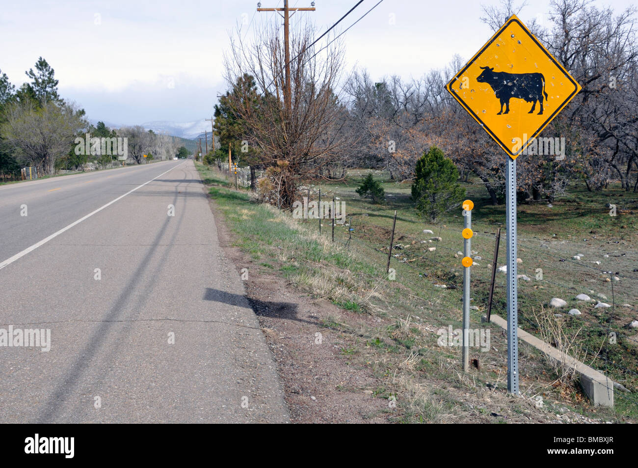 "Cow crossing" road sign, New Mexico, USA Stock Photo - Alamy