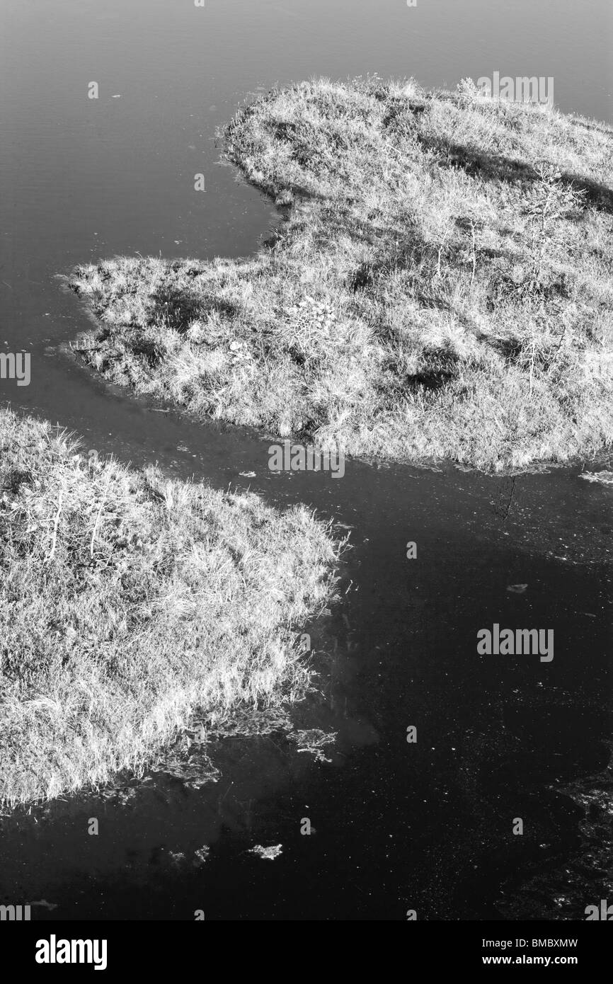 Water edge vegetation Black and White Stock Photos & Images - Alamy