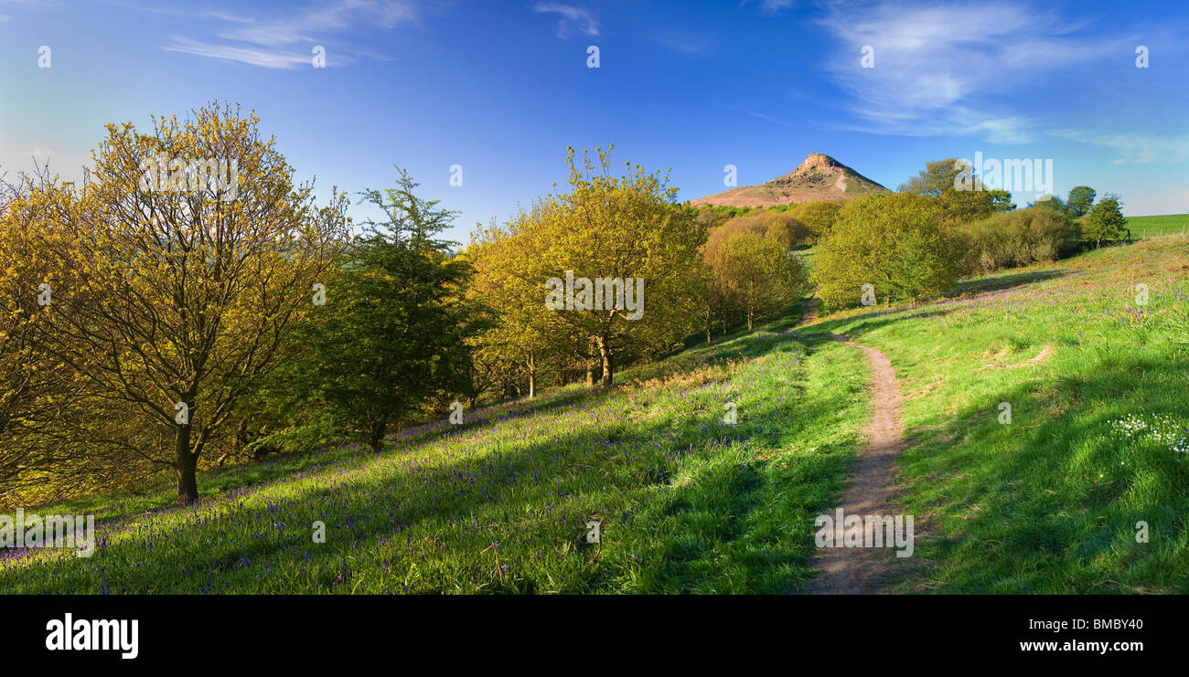 Roseberry topping bluebells hi-res stock photography and images - Alamy