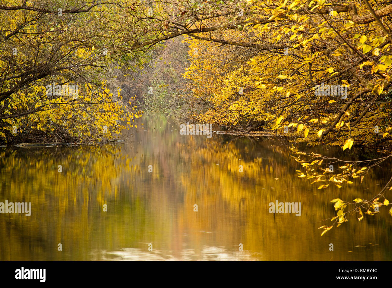 Idyllic river scene hi-res stock photography and images - Alamy