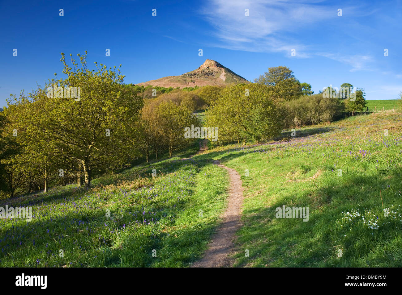 Roseberry Topping, one of the Cleveland Hills, seen here on a clear ...
