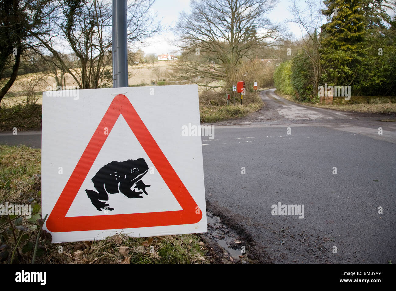 A triangular road sign warning of toads crossing, Surrey, England Stock ...