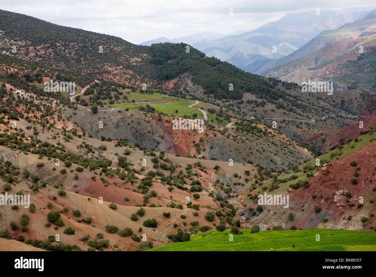 Scattered trees and shrubs hi-res stock photography and images - Alamy