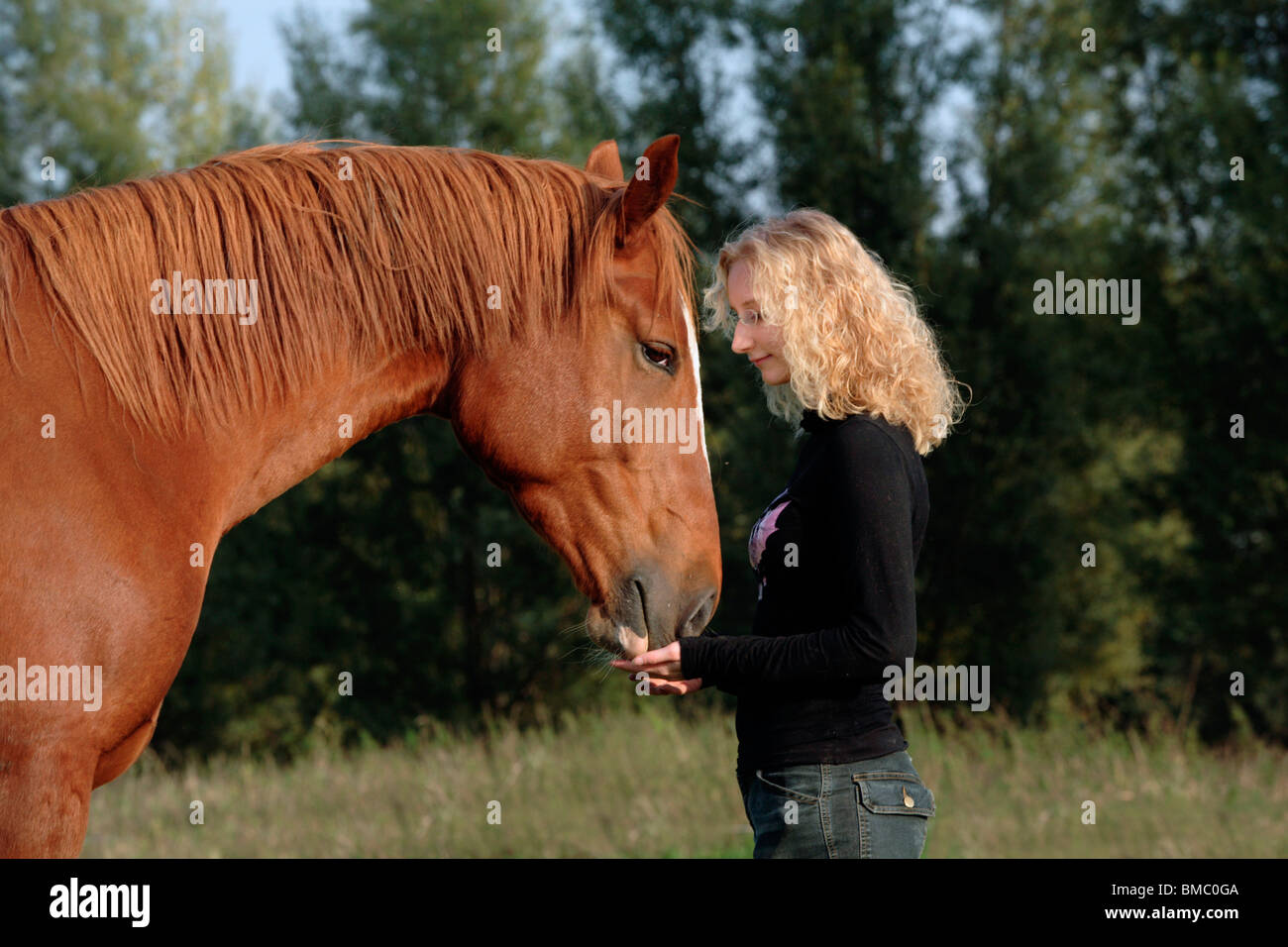 Frau mit pferd woman horse hi-res stock photography and images - Alamy