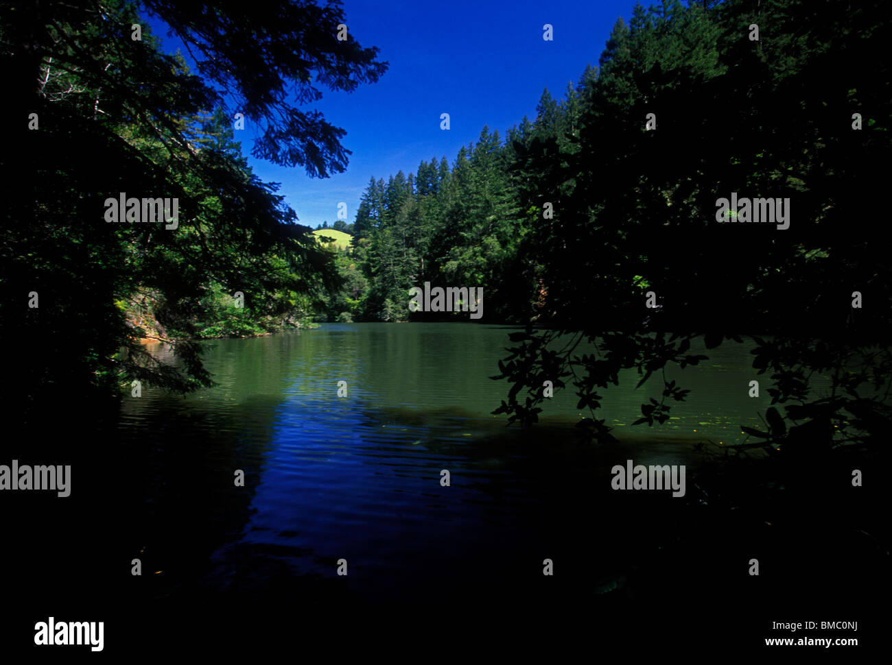 Marin municipal water district hi-res stock photography and images - Alamy