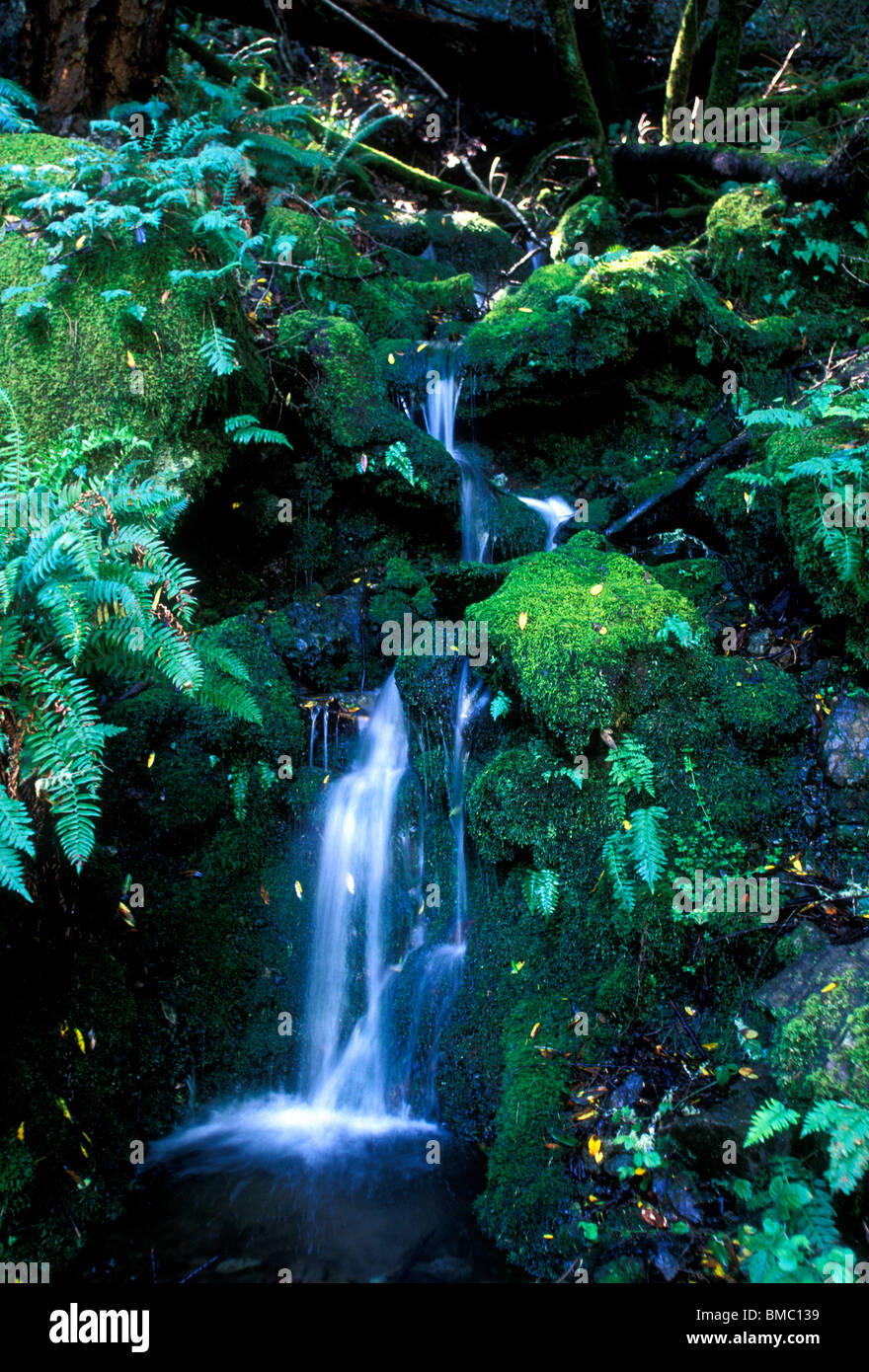 waterfall, Marin Municipal Water District, near Fairfax, Marin County ...