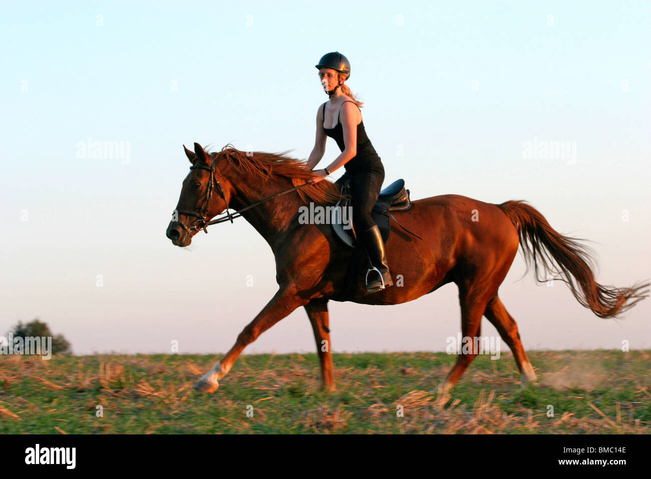 Mädchen reiter hi-res stock photography and images - Alamy