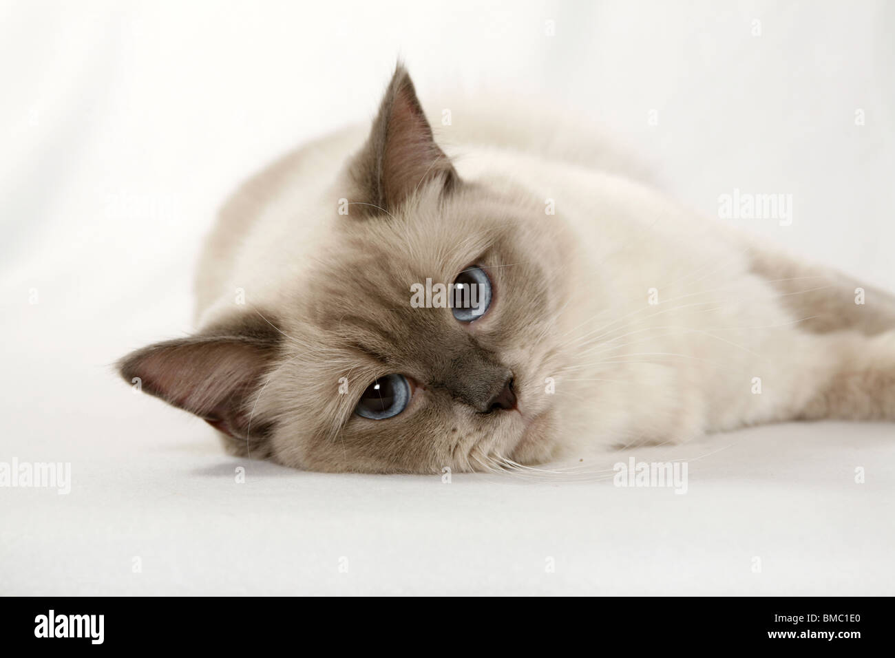 09281 hi-res stock photography and images - Alamy
