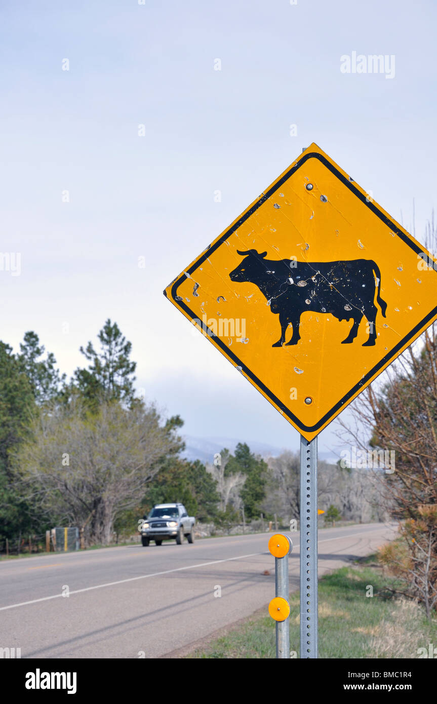 "Cow crossing" road sign, New Mexico, USA Stock Photo - Alamy