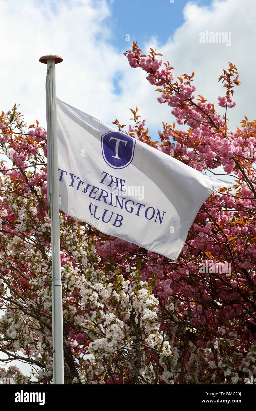 Custom built course hi-res stock photography and images - Alamy