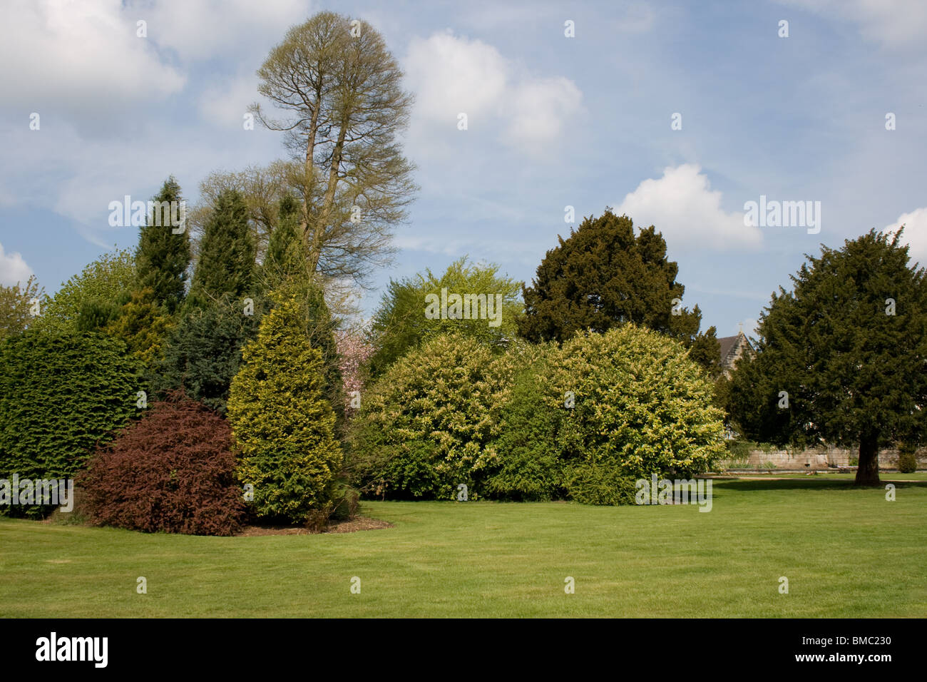 Tree trentham hi-res stock photography and images - Alamy