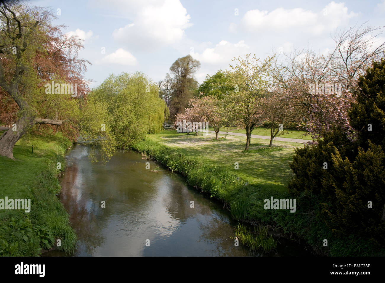 The River Trent in Trentham Gardens Stock Photo - Alamy