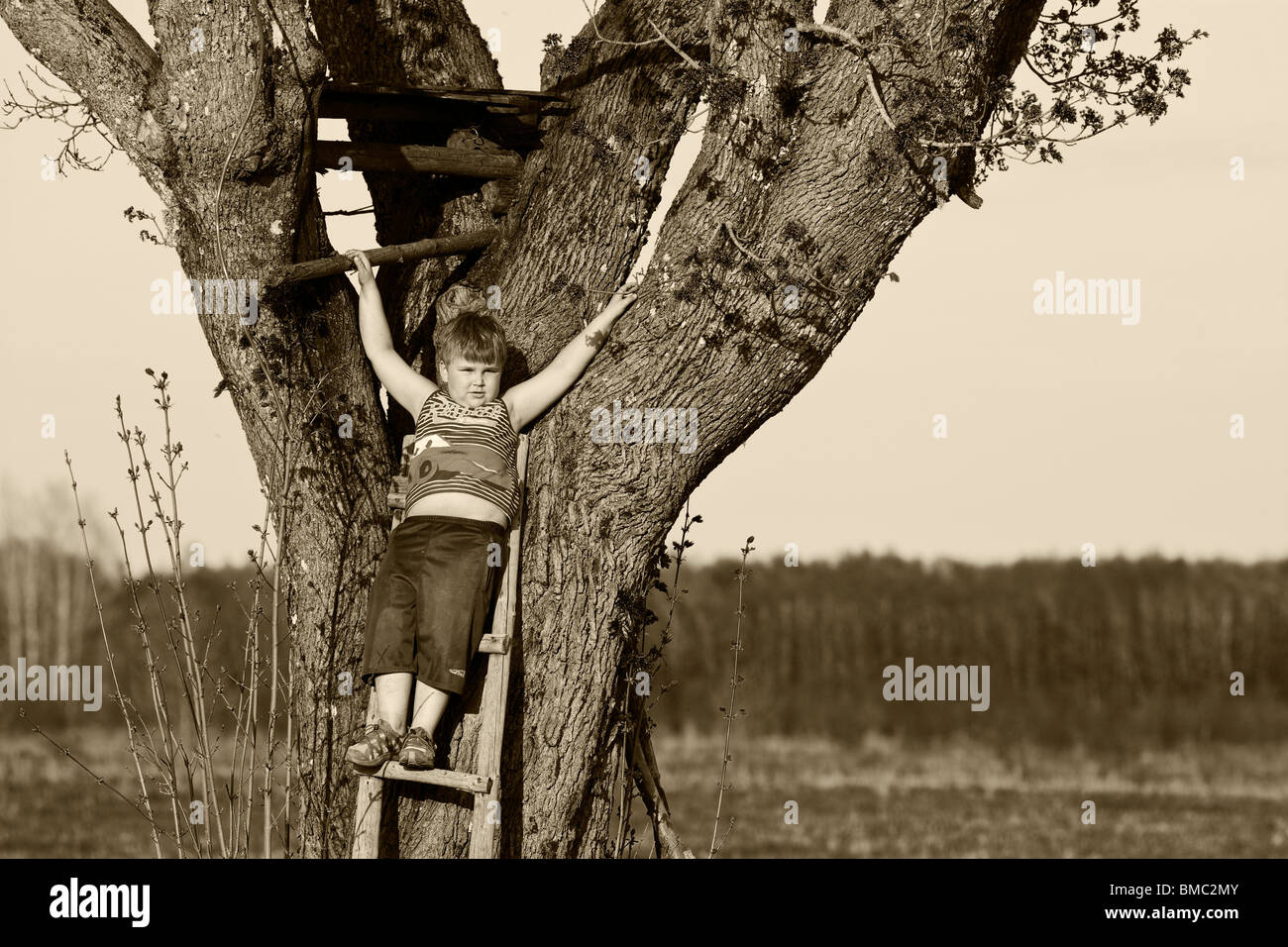 Boy on the tree Stock Photo - Alamy