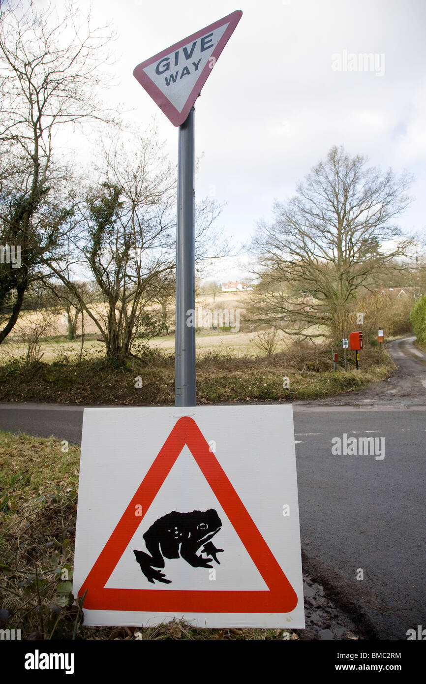 Toads road sign uk hi-res stock photography and images - Alamy