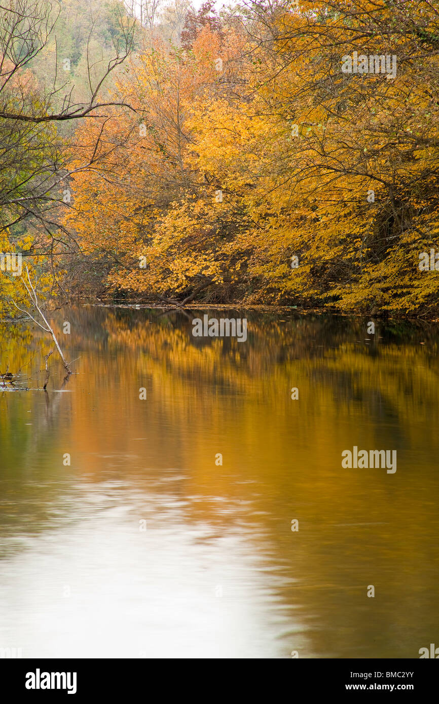 Idyllic Autumn Scene Stock Photo - Alamy