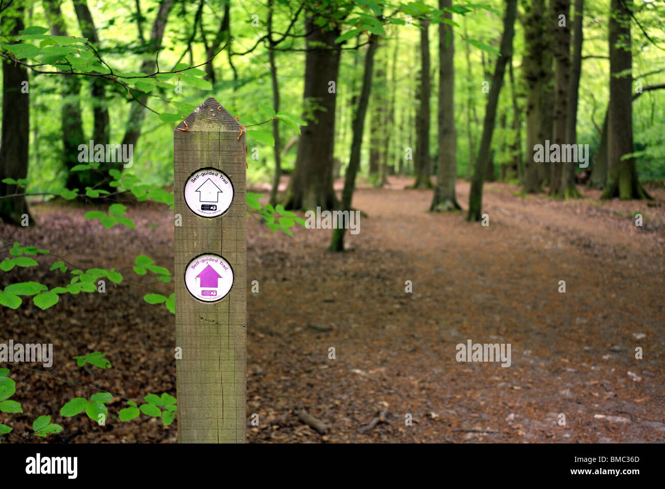 Self guided hi-res stock photography and images - Alamy