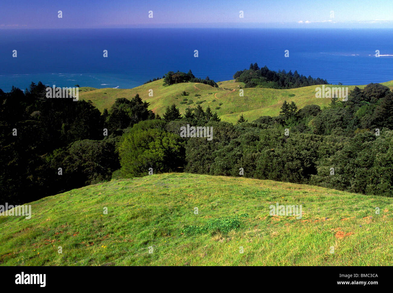 Pacific Ocean, Mount Tamalpais State Park, Mount Tamalpais, State Park ...