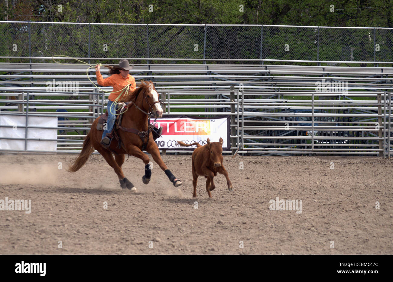 Rodeo Sports High Resolution Stock Photography and Images - Alamy