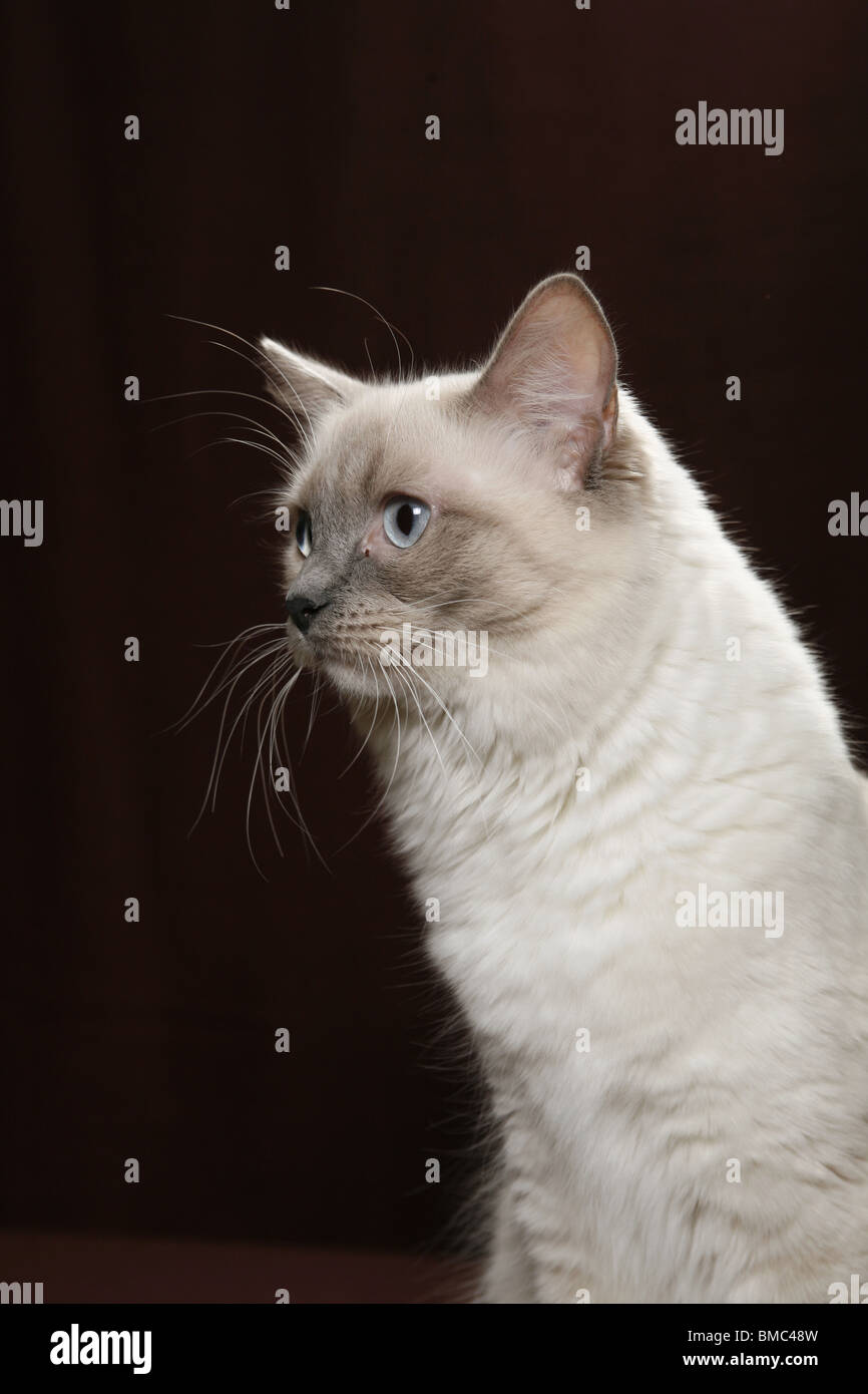 09163 hi-res stock photography and images - Alamy