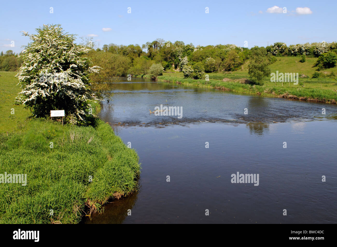 The River Boyne at Bective close to Trim County Meath southern Ireland ...