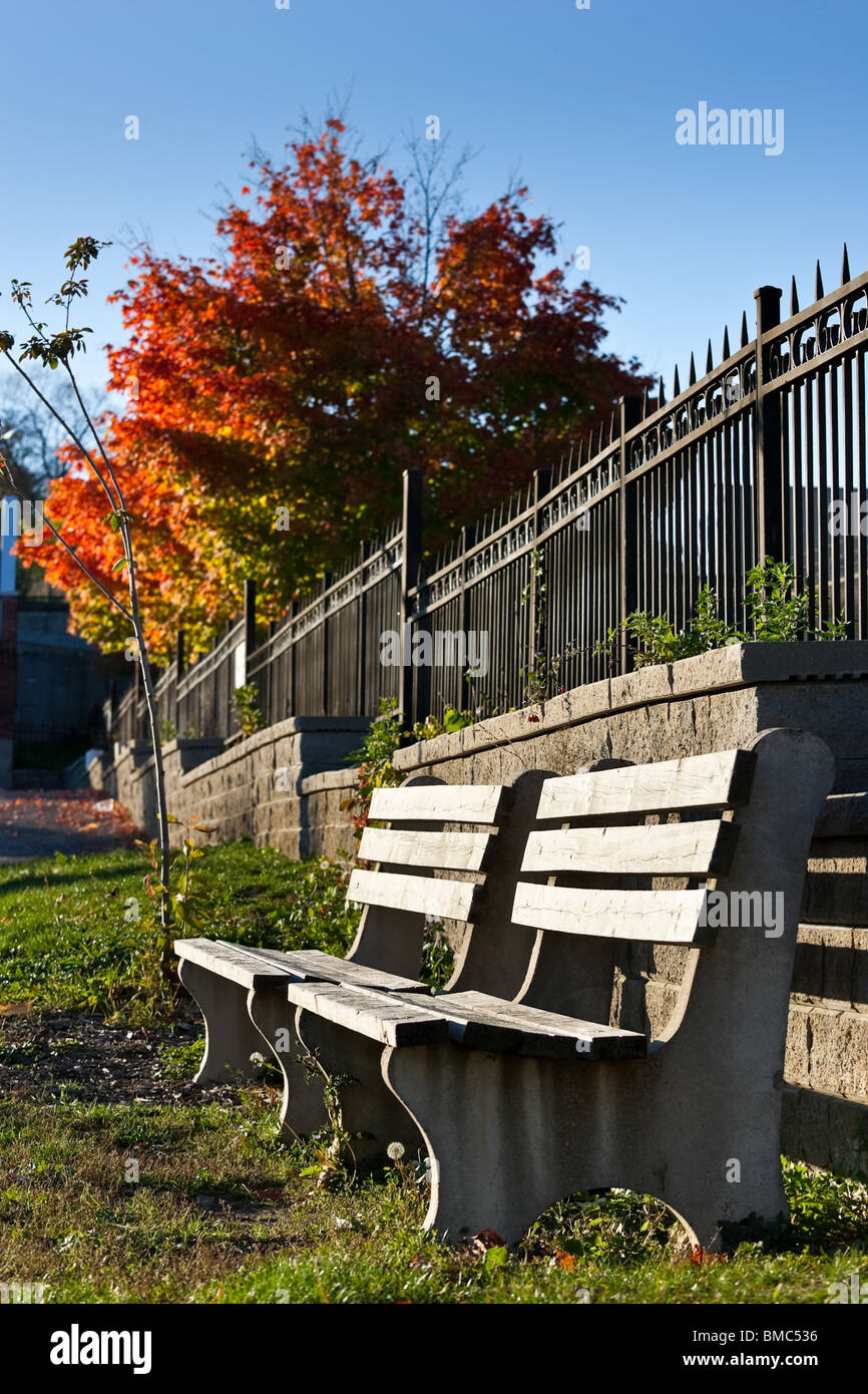 A couple of park benches, in front of some vibrant fall trees Stock ...